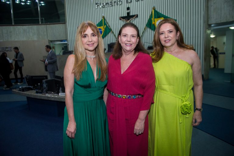 Inês Cavalcante, Rodrigo Maia e Danielle Valente homenageados por ...