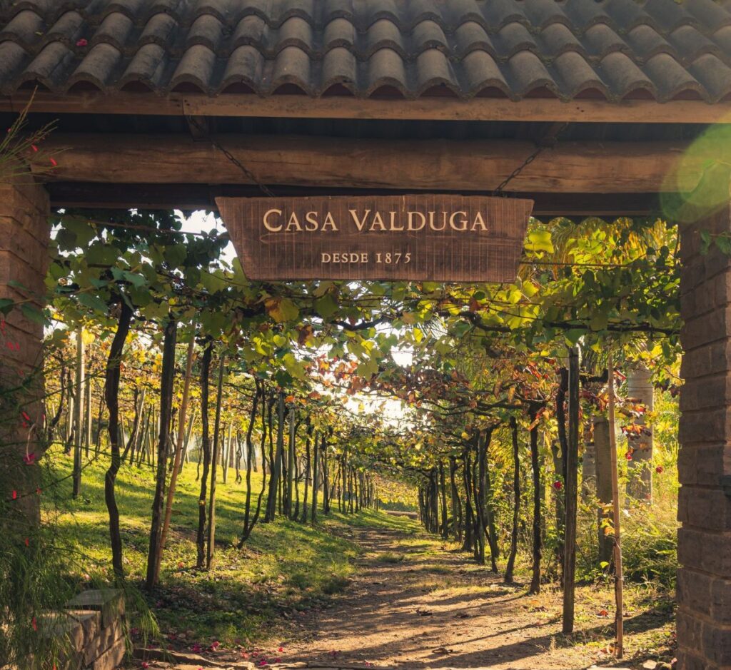 Casa Valduga entra no ranking das 100 melhores vinícolas do mundo ...